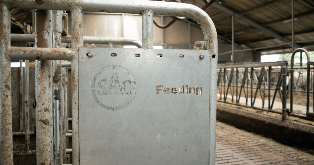 SAC Milking | Feeding systems