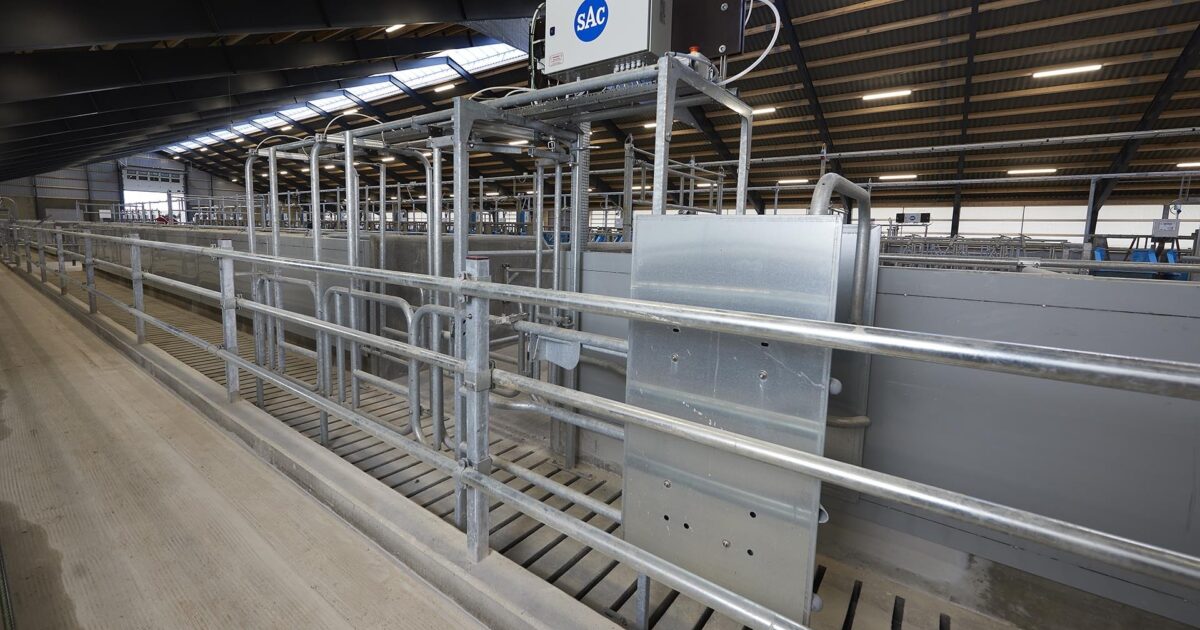 SAC Milking | Selection gates and boxes